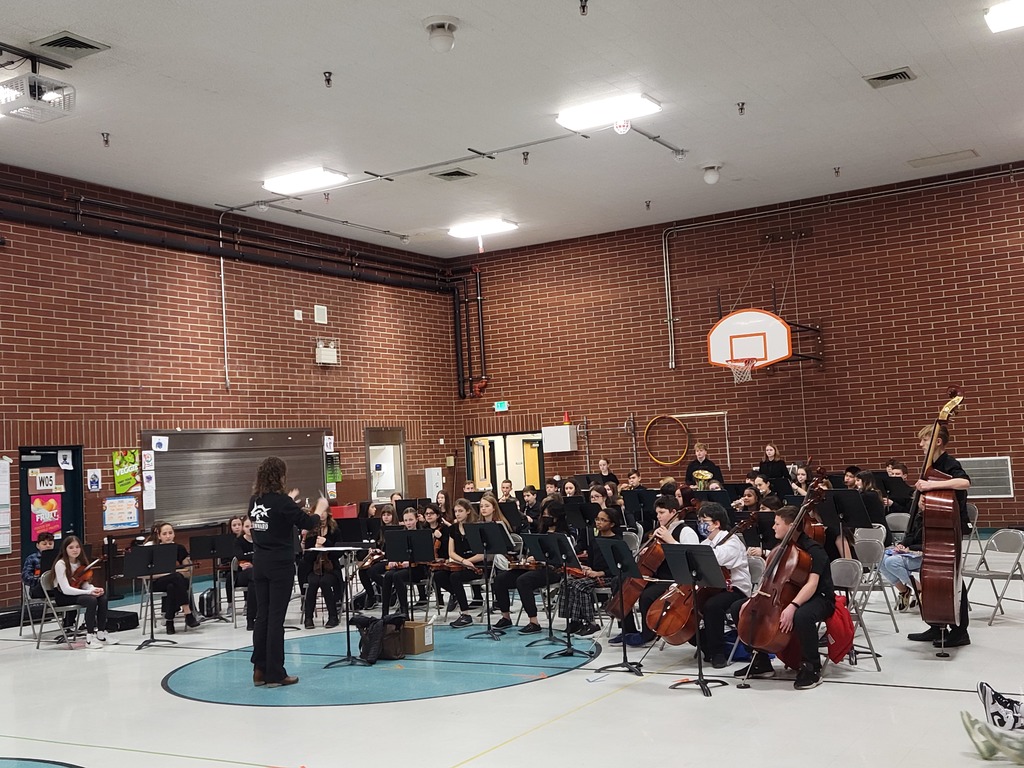 Live Feed | Lewis and Clark Middle School